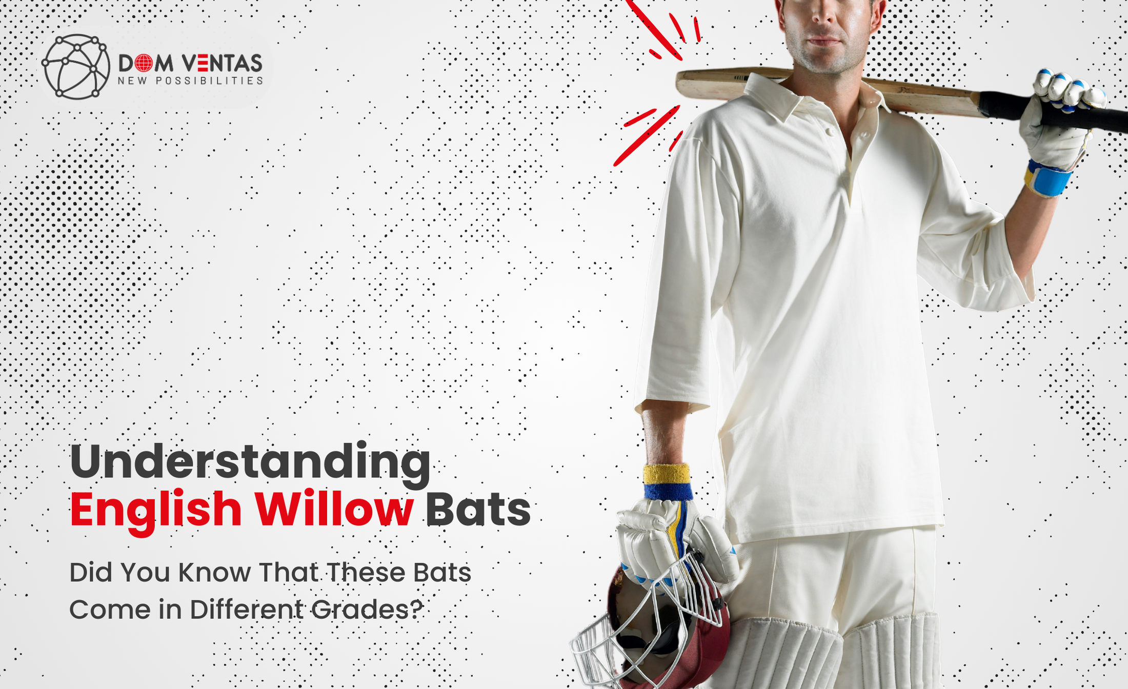 Understanding Grades 1 to 5 of English Willow Cricket Bats – Dom Ventas AU